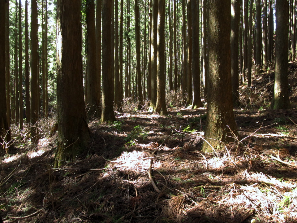 ;uﾏP・I{Pg0h・yW0~0Y0